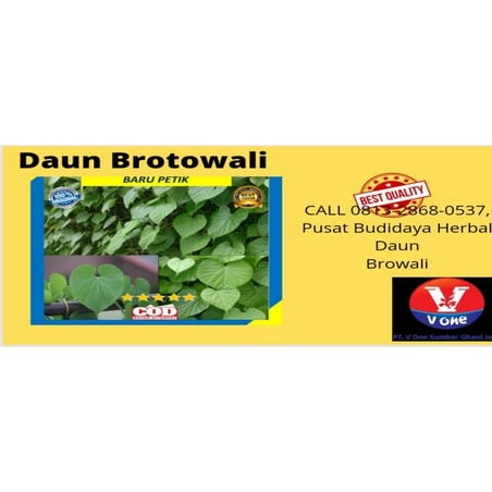 Daun 5 | PDF | Free Download