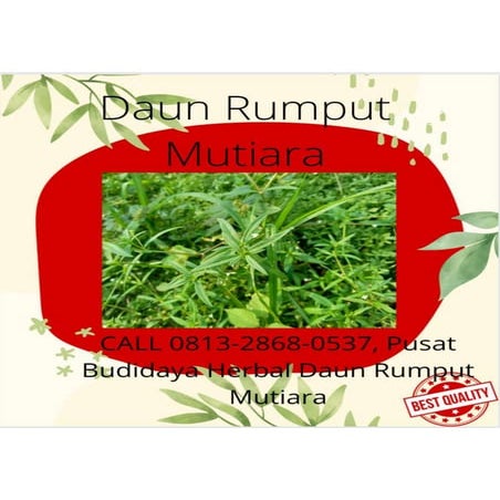 Daun 2 | PDF