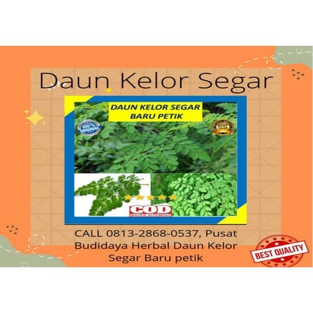 Daun 4 | PDF