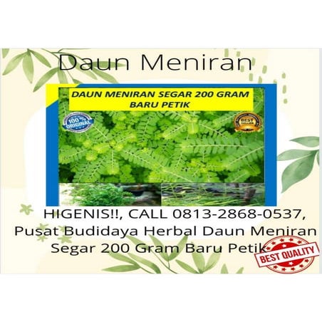 Daun 1 | PDF