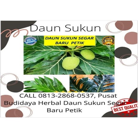 Daun 1 | PDF