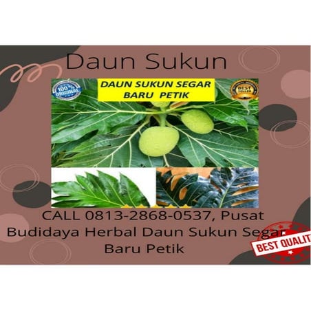 Daun 2 | PDF