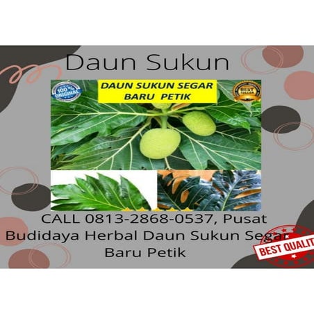 Daun 4 | PDF