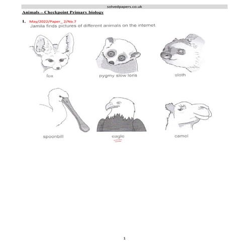 2022_17-Animals-checkpoint-primary-biology_solved.pdf