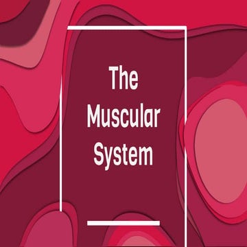 muscles. explanation for kids. primary /elementary students | PPT
