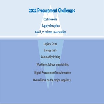 2022 Procurement Challenges.pdf