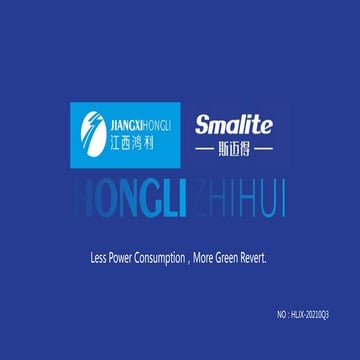 2022 PPT Smalite&Hongli Group Overview.pptx