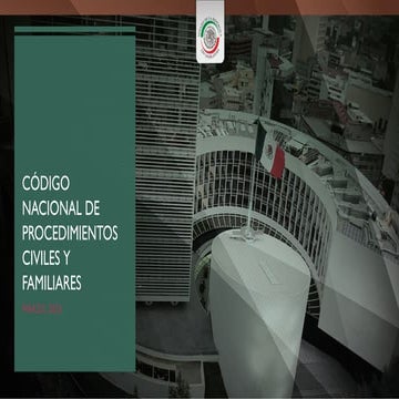 2023 06 08 Presentacion Cnpcyf Pdf