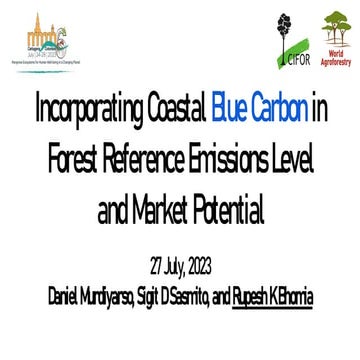 Research priorities in seagrass ecosystems to enhance blue carbon as ...