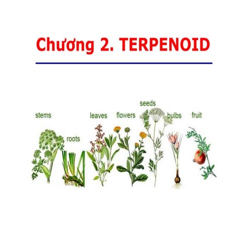 Chuong 2 cac hop chat terpenoid | PDF