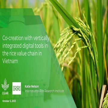 Co-creation with vertically integrated digital tools in the rice value ...