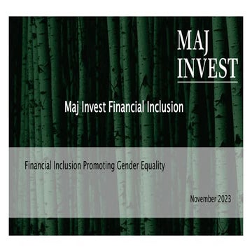 making investment and make great impact on gender equality | PPT