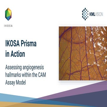 IKOSA Prisma in Action - Assessing angiogenesis hallmarks within the ...