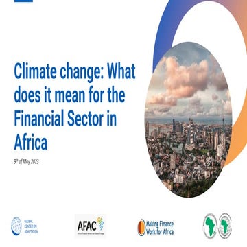 Climate and the African Financial Sector | PDF