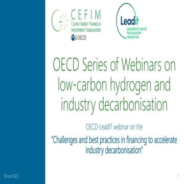 OECD CEFIM Framework presentation - Deger Saygin, OECD | PDF