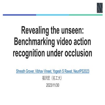 論文紹介：Revealing the unseen: Benchmarking video action recognition under occlusion | PDF