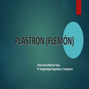 20232407-EDMS-FLEGMÓN.pptx