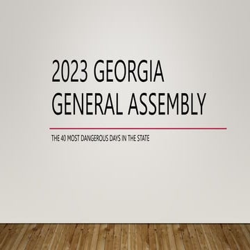 2023 Georgia general assembly.pptx