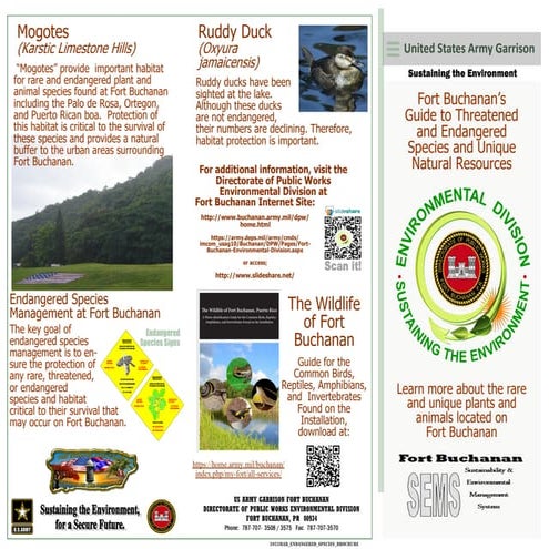 Endangered Species Brochure (Revised 2023MAR) | PPT