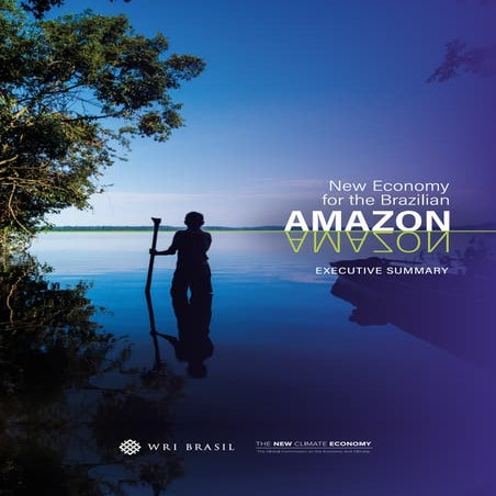 2023 new-economy-brazil-amazon-executive-summary-english.pdf