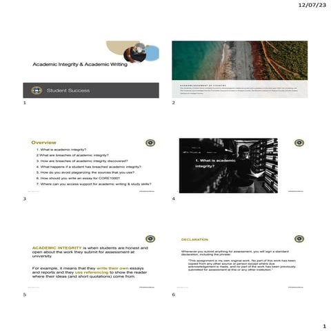 2023 Semester 2 Academic Integrity.pdf