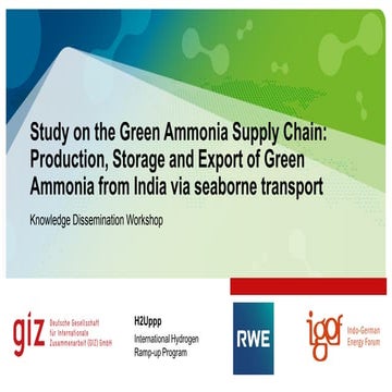 Study on the Green Ammonia Supply Chain: Production, Storage and Export ...