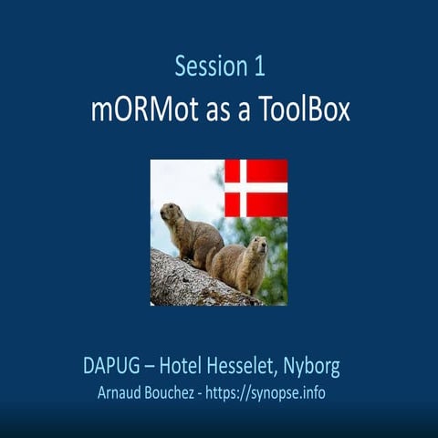 2024 DAPUG Conference Arnaud Bouchez mORMot as a ToolBox | PPT