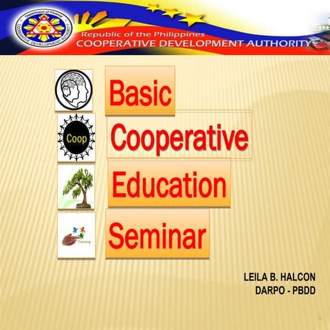 Implementing Rules and regulations of RA 9520 | PPT