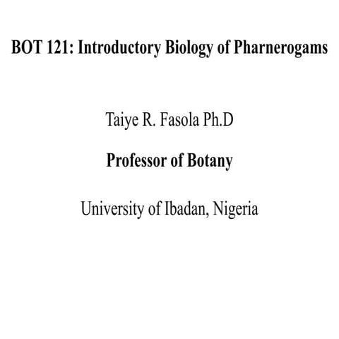 2024 BOT 121 leaf-stem-root morphology.pdf