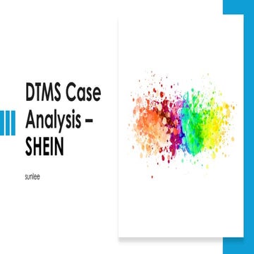 2024 case study-SHEIN Analysis-Final.pdf