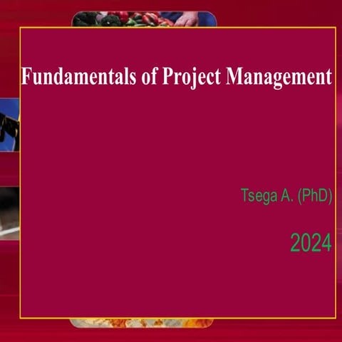 Fundamentals of Project Management101.ppt