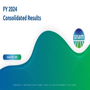 FY 2024 Consolidated Results presentation | PDF
