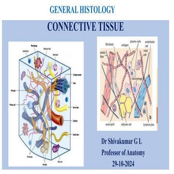 2024 HISTOLOGY 1 - CONNECTIVE TISSUE.pdf