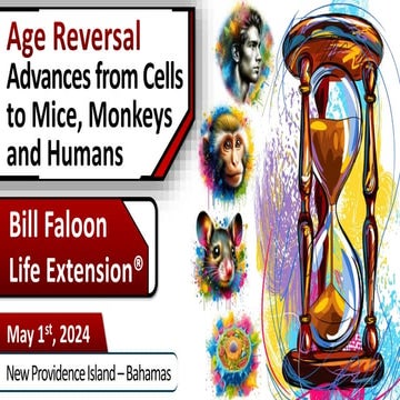 Bill Faloon on Age Reversal at Old Fort Bay Club Bahamas 2024 | PPT