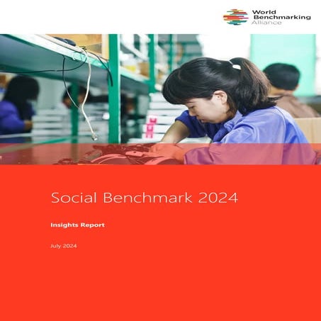 2024 Social Benchmark Insights Report_Lipiec 2024.pdf