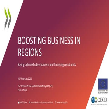 Boosting business in regions - Alexandra Rusu | PDF