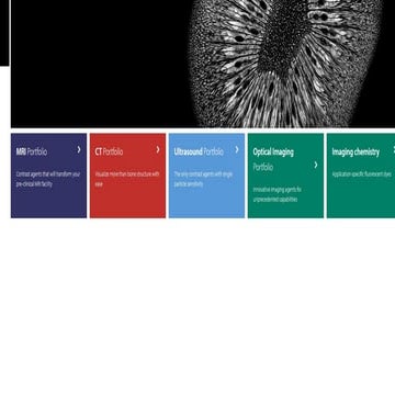 Witness the Power of Contrast Agents & Multimodal Imaging: MRI ...