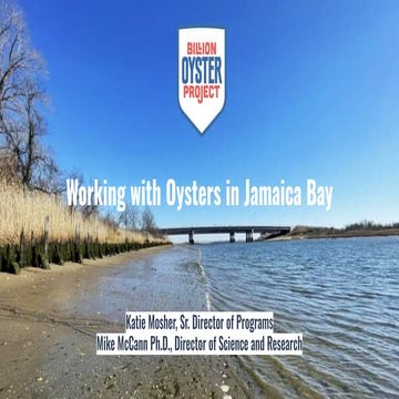 20250507 Billion Oyster Project - Jamaica Bay.pdf