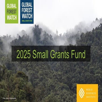 2025 Small Grants Fund Applicant Webinar Slides Pdf