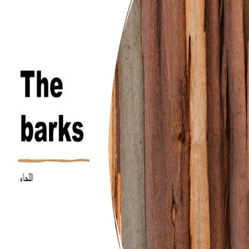 2025 section 1 - barks intro and cascara bark.pdf