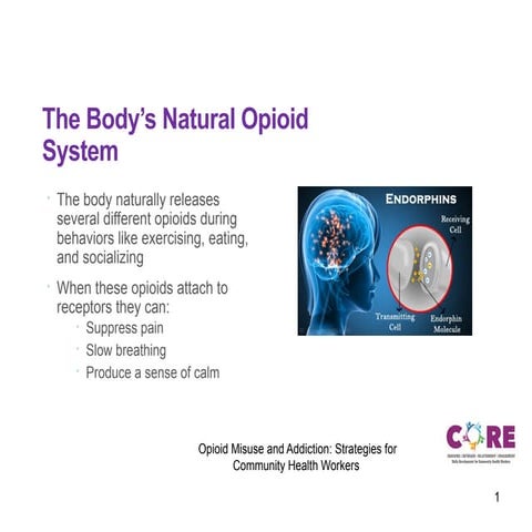 Opioid Overdose: Pathophysiology, Clinical Presentation, Diagnosis ...