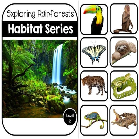 202 Rainforest Habitats Level 2 kids.pdf