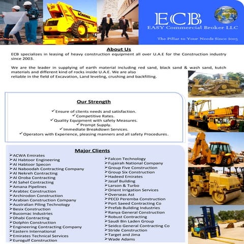 ECB Company profile | PDF