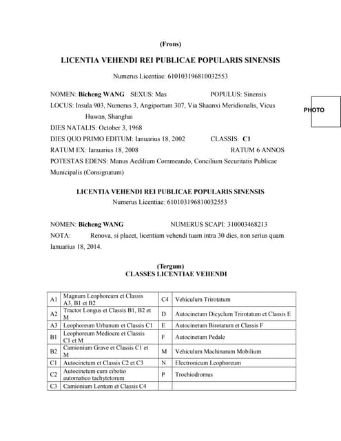 07969-China Driver License | PDF