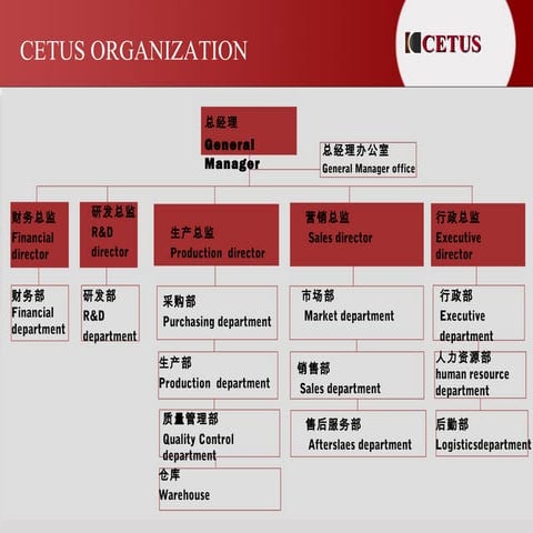 CETUS SOLID SURFACE COMPANY | PPT