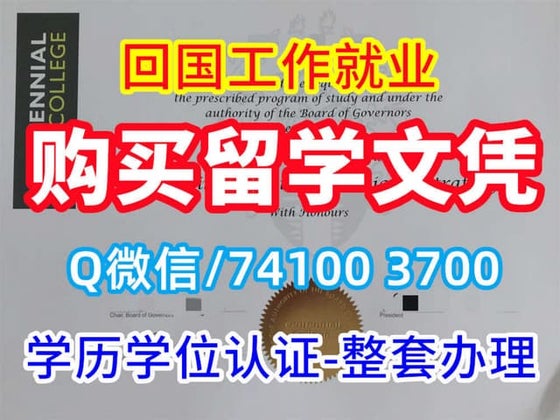 unibo Bachelor Degree | PDF | Undergraduate Education | College Education