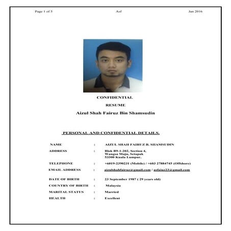 ASF CV 2016 | PDF
