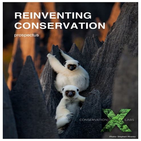 CONSERVATION X LABS CONCEPT_VERSION 4.11_110514 | PDF