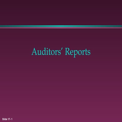 20724_auditor report vvvvccccgggggvvvvB.ppt