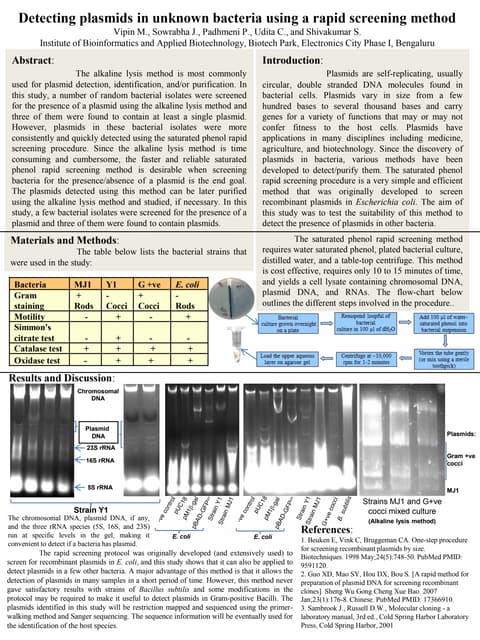 Cancer New york Poster | PDF | Cancer | Diseases and Conditions